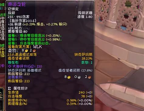 魔兽80级盗贼属性选择、天赋、配装与输出手法全攻略 哔哩哔哩