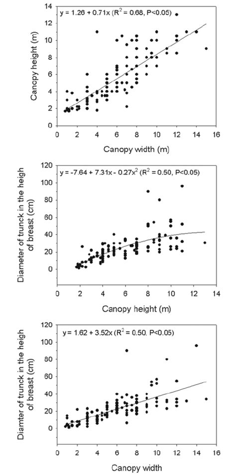 Effect Of Canopy Width And Canopy Height On The Diameter Of The Trunk