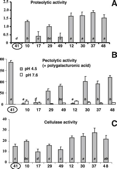 Production Of Extracellular Enzyme Activities A Proteases B