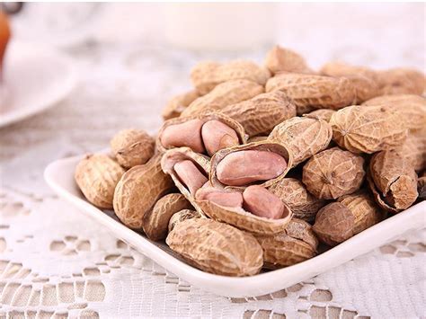 吊炉花生 快懂百科