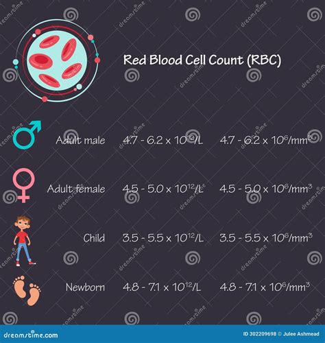 Red Blood Cell RBC Blood Test Medical Vector Illustration Infographic Stock Vector