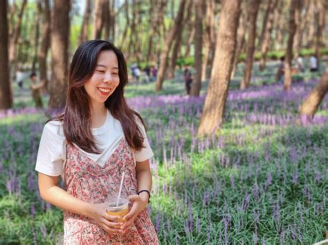충남 서천 여행 가볼만한곳 장항송림산림욕장 맥문동 축제 네이버 블로그