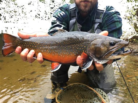 Fly Fishing In Maine Added A New Photo Fly Fishing In Maine