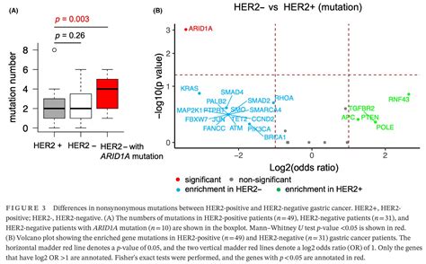 胃癌分冷热？ARID1A突变HER2阴性胃癌免疫治疗或更有效|免疫治疗|胃癌|基因|-健康界