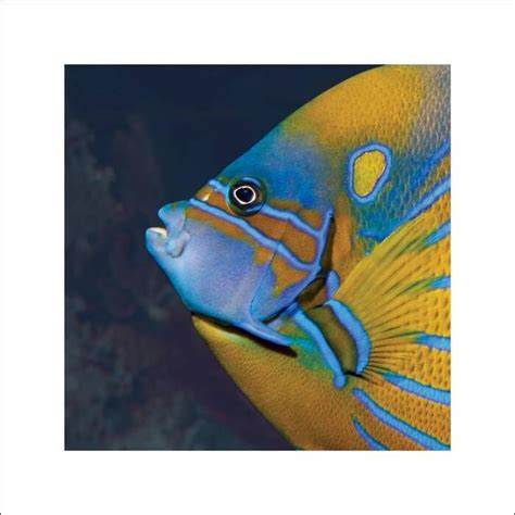 Ryan Power New Attitude Lyrics Genius Lyrics