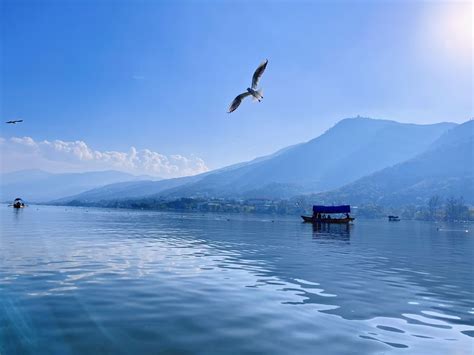 从基本面和技术面分析长安。财富号东方财富网