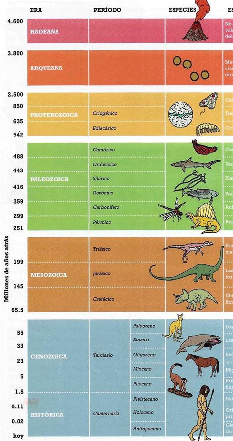 consepto de las Eras Geológicas Brainly lat
