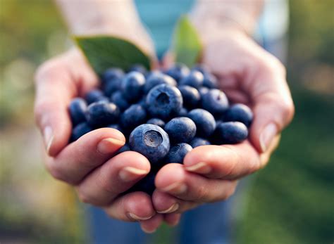 Top 8 Superfood Breakfasts You Should Eat Every Day To Lose Weight