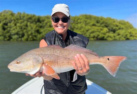 Fishing Report November 20th 2022 Clearwater Fishing Charters
