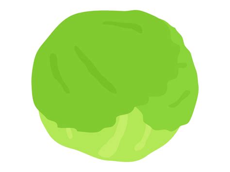 レタスのイラスト イラスト無料・かわいいテンプレート