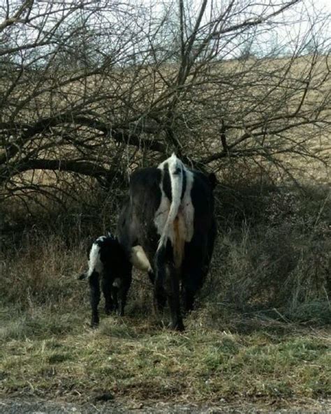 Emma Burgin Emmaburgin Twitter