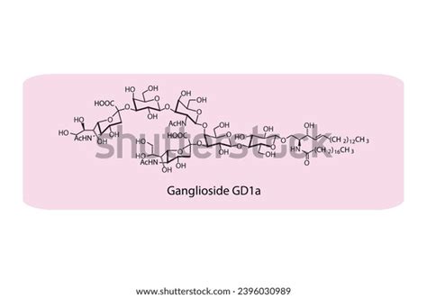 Molecular Structure Diagram Ganglioside Gd1a Disialogangliosidegd1a