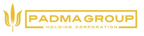 Overview Ddn Sfa Limited Padma Group Holding Corporation