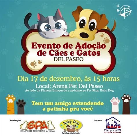 Feira de Adoção de Cães e Gatos Del Paseo Saúde Fortaleza