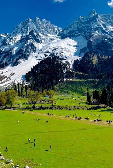 Sonmarg Wallpapers Top Free Sonmarg Backgrounds Wallpaperaccess