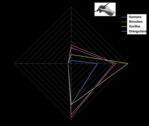 Results On The Kinematics Of The Index Finger During The Simulations