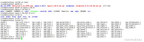 Nginx优化与防盗链 Csdn博客