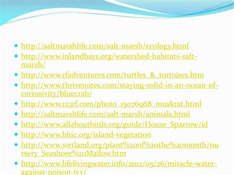 Ppt Salt Marshes Powerpoint Presentation Free Download Id2174554