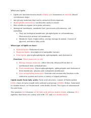 Understanding Lipids Types Functions And Importance In Cells