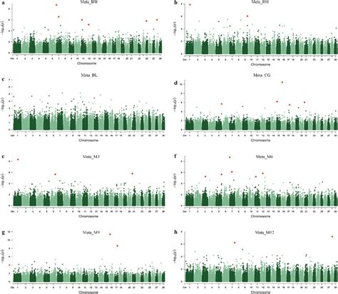manhattan plots of the 8 multi trait meta analyses in each plot the