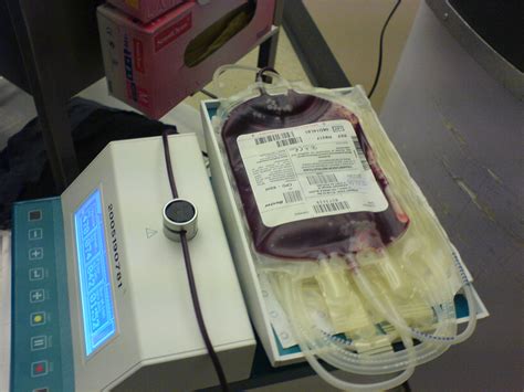 Cuáles son los requisitos para donar sangre en España Tratamiento y