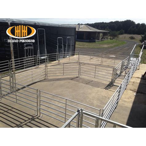 Sheep Fence Panels Australia Galvanized Livestock Sheep Yard Panels And