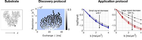 Figure 4 From Diffusion Mri With Free Gradient Waveforms On A High