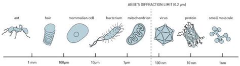 Chromatic Multiphoton Serial Microscopy Can Generate Brain Wide Atlas