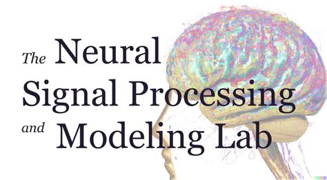 The Neural Signal Processing And Modeling Lab School Of Engineering
