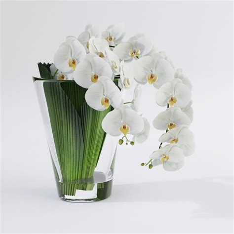 3d Realistic Lilys