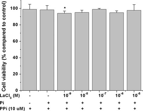 Effect Of Pyrophosphate Ppi On Bmscs Viability In The Absence Or The