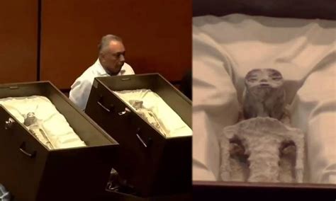 Presentan Supuestos Cuerpos De Extraterrestres Que Habría Analizado La Unam
