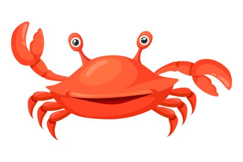 Funny Red Crab Cartoon Underwater Anima Graphic By Smartstartstocker