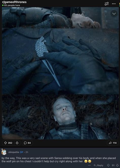 I Think Sansa Giving Theon Her Pin Meant She Considered Him To Be A Real Stark What Do You