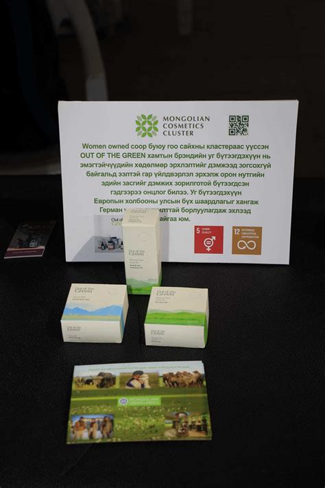 О Амартүвшин Тогтвортой хөгжлийн зорилгыг хэрэгжүүлэх нэг чухал багана бол хувийн хэвшил