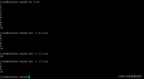 Linux基础第一章：基础知识与基础命令 3linux Mv和rename Csdn博客
