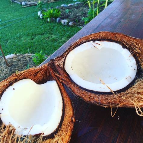 Buko Filipino Food
