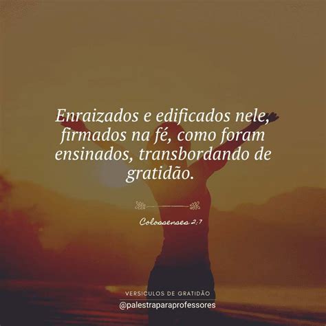 Versiculos de gratidão 100 versículos de agradecimento da Bíblia