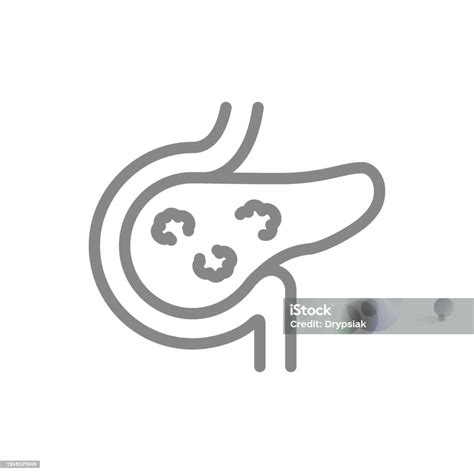 종양 라인 아이콘을 가진 췌장 췌장암 소화및 내분비 시스템 질병 기호 개체 그룹에 대한 스톡 벡터 아트 및 기타 이미지 개체