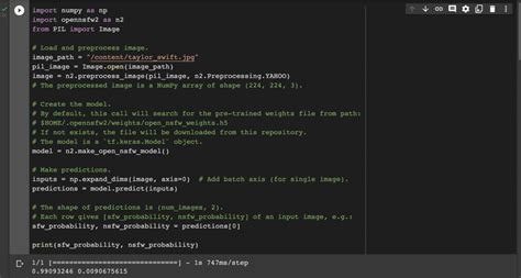 Nude Images Classification Of NSFW Images Sesame Disk Group