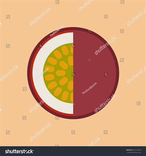 Vector Illustration Passion Fruit Stock Vector Royalty Free 541919923