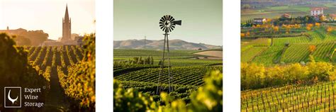What Is Zinfandel Wine? (Best Varieties, Taste & Characteristics)
