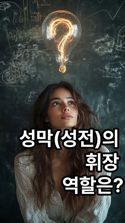 성막 휘장의 역할은구분죄인대제사장성소지성소예수님양속죄피십자가죽음희생사랑속죄일 Youtube