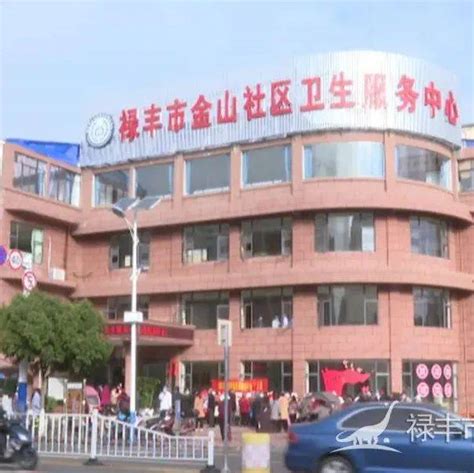 金山卫生院住院部成立 打通群众就医最后一公里 服务 中心 科室