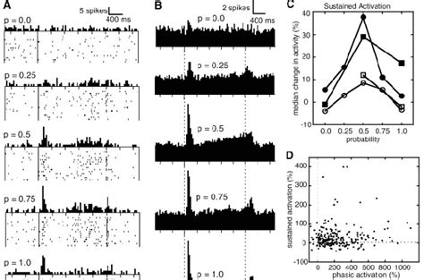 Sustained Activation Of Dopamine Neurons Precedes Uncertain Rewards
