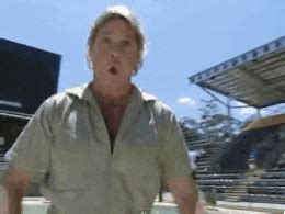 Steve Irwin  By Bustle Find And Share On Giphy