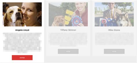 How To Add Fields To The The Pollchoice Options 2991361