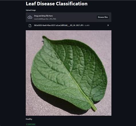 Github Dhaniketleaf Disease Classification Dhaniket Leaf Disease Classification App