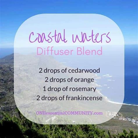 Calming Diffuser Blends For Stress One Essential Community
