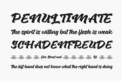 Entropic Brush Fonts Shmonts